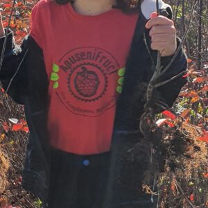 Produse - Apuseni Fruct